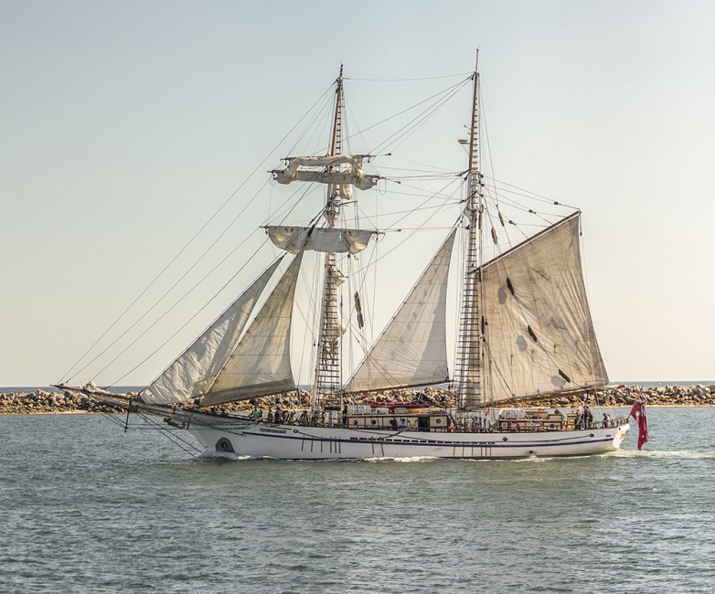 Photos | The One and All